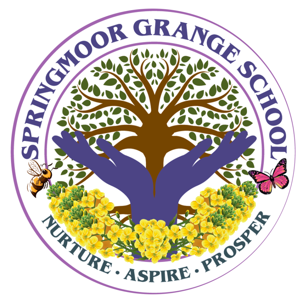 Primary Springmoor Grange Primary Springmoor Grange